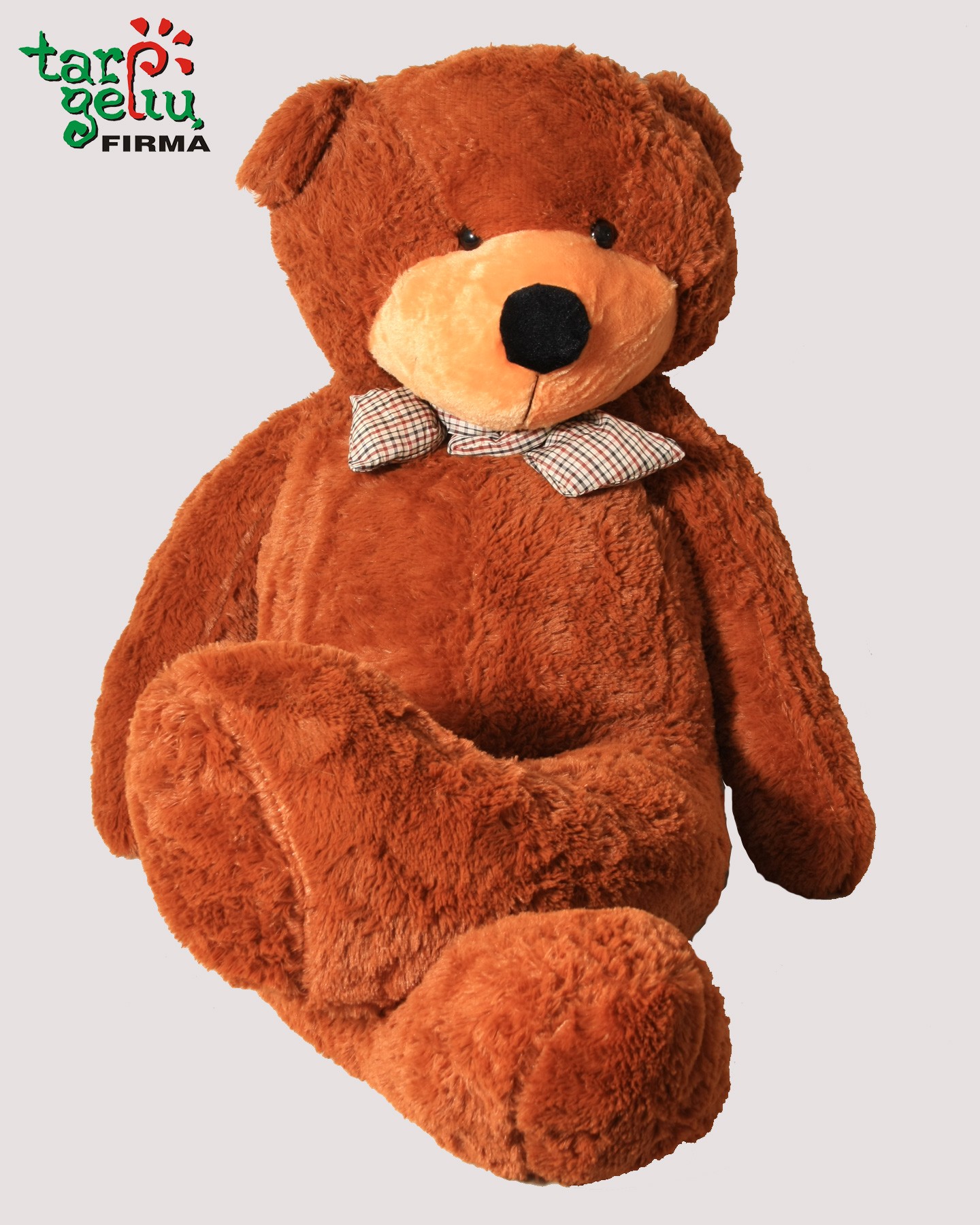 XL Teddy Bear | Gifts